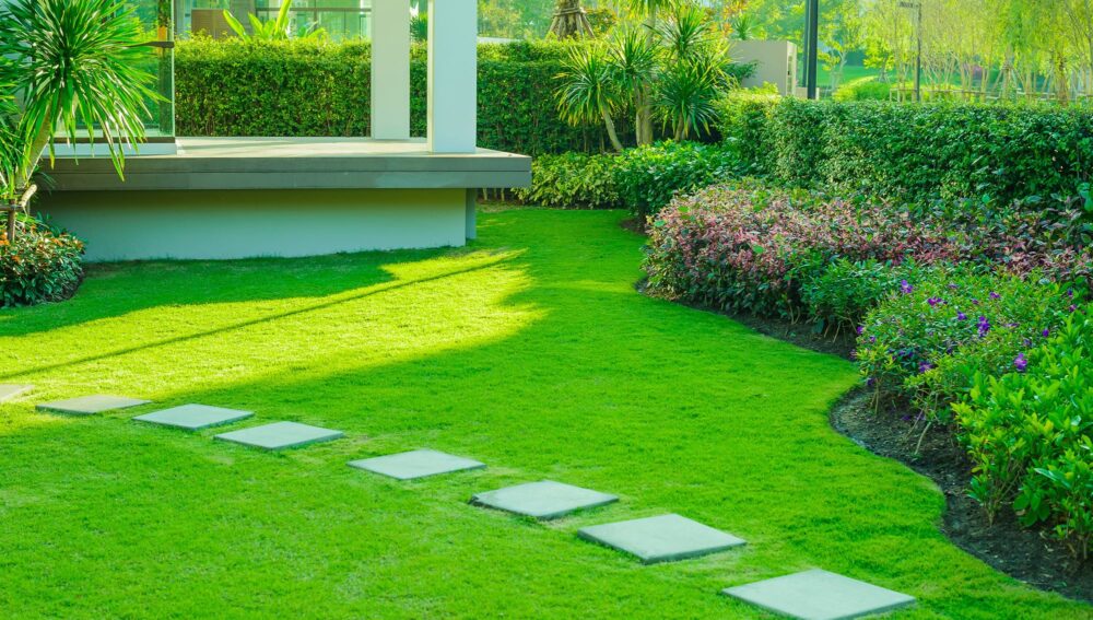 Sustainable Landscape Design in Scottsdale | Desert Environments